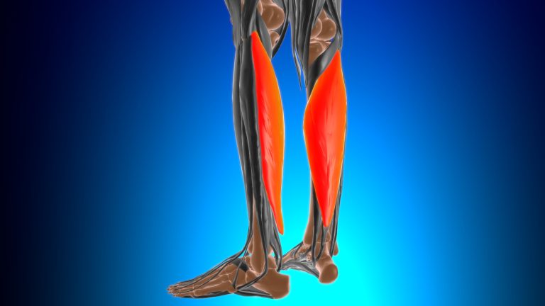 Mucize Egzersiz Soleus Push-up - Prof. Dr. Muhammed Keskin I ...